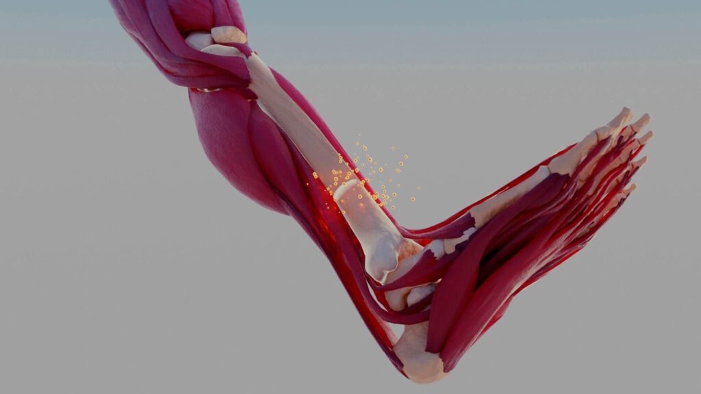 Premier 3D Medical & Scientific Animation | KHO Animation