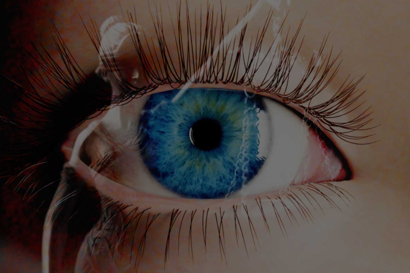 The Power of Crime Scene Animation in Criminal Investigations - KHO ...